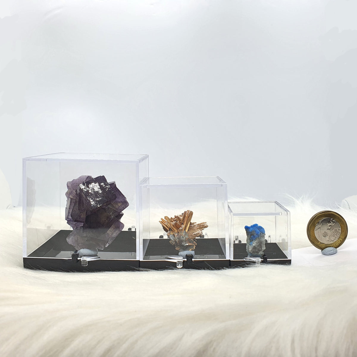 Accessory - Hinged Specimen Box (Medium) – Crystamour